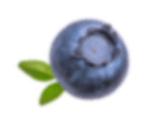 Kona Ice Nutrition | Cup Sizes, Calories, Ingredients & Carbs